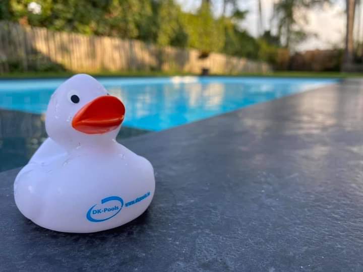 Webshop • DK-Pools